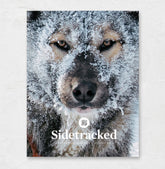 Sidetracked Shop